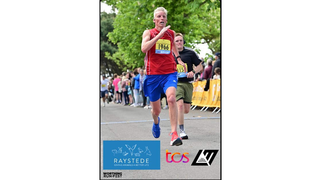 Mark Sweeting is fundraising for Raystede Centre For Animal Welfare Limited