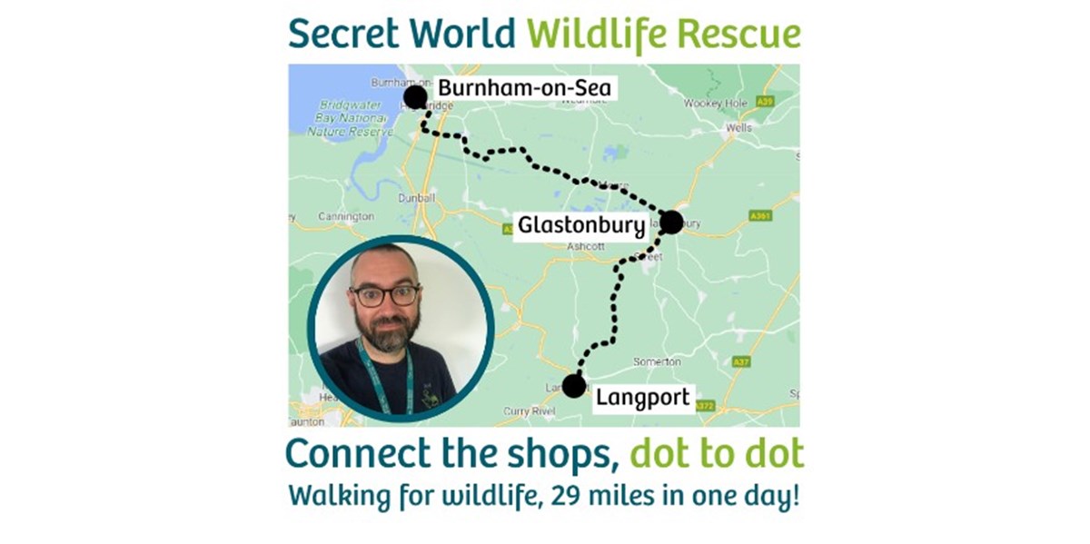 David Plant is fundraising for Secret World Wildlife Rescue