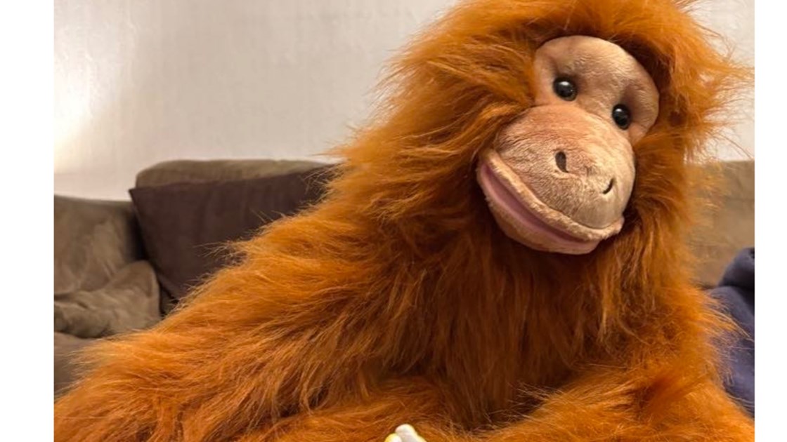 robyn campbell-dahl is fundraising for Bone Cancer Research Trust