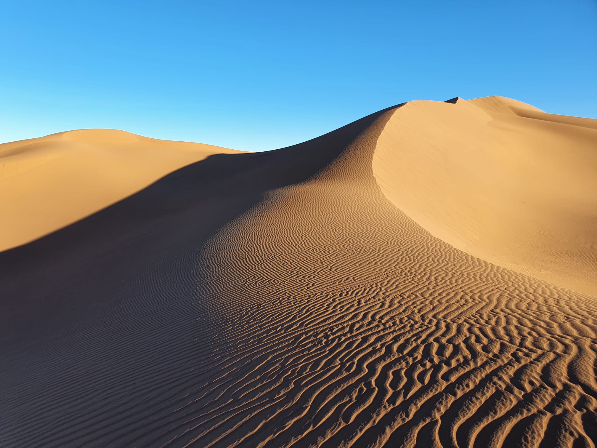 Lewis Runnion is fundraising for Walking With The Wounded