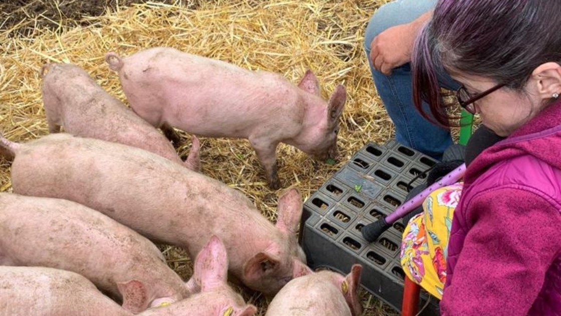 Inclusive Farm Scotland at MacRobert (SC053902) - JustGiving