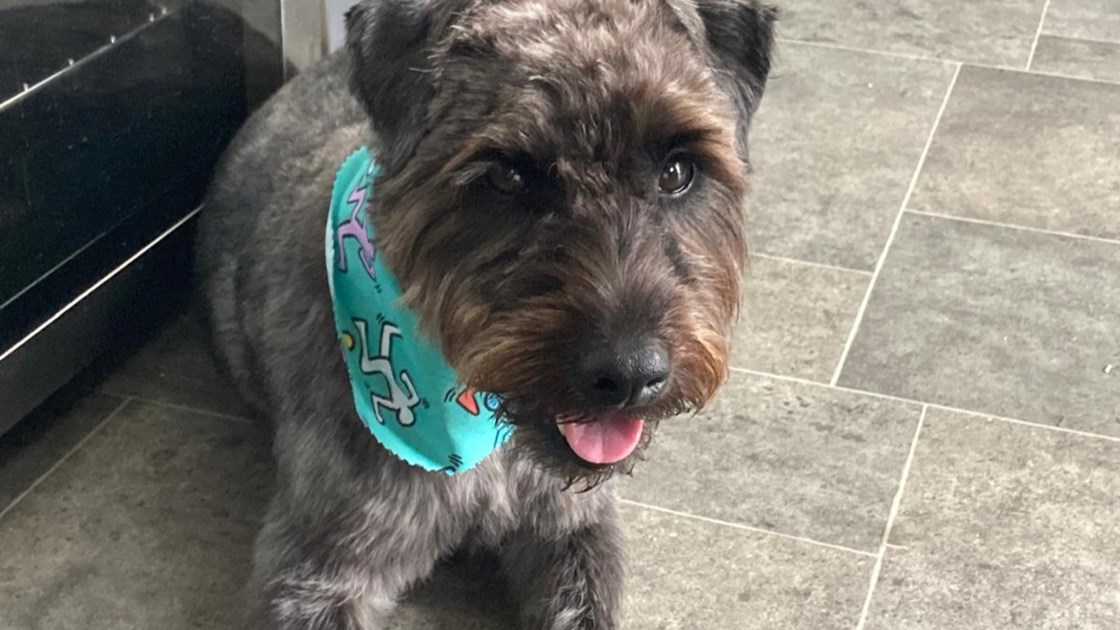 Catherine Kenyon is fundraising for BLEAKHOLT