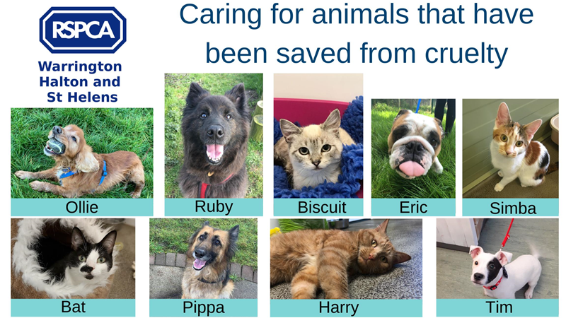 Kat Ya is fundraising for RSPCA Warrington, Halton & St Helens Branch