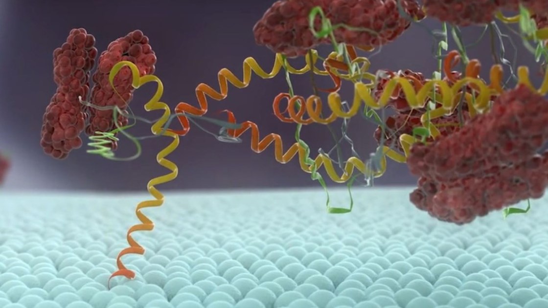 Cure CJD - JustGiving