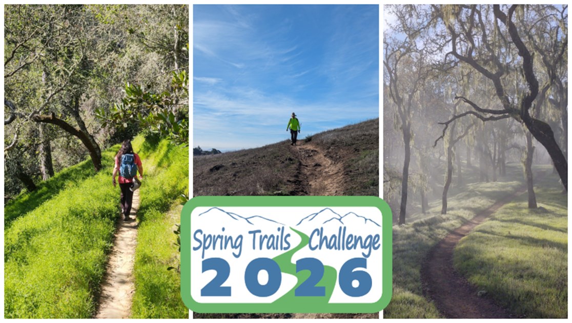 2026 Spring Trails Challenge - JustGiving