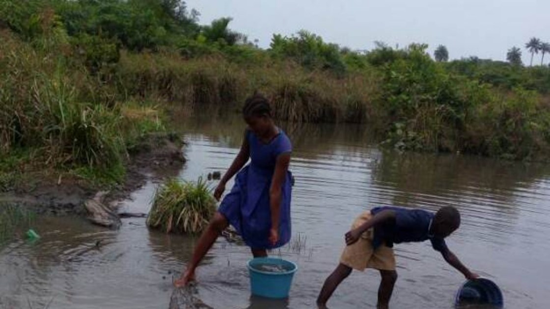 Bayside '82 Water Well - JustGiving