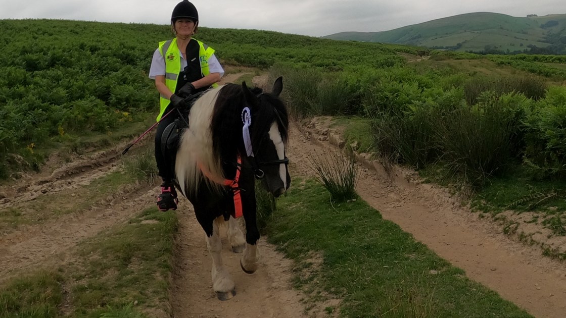 Ruth Frances Bennett is fundraising for The British Horse Society