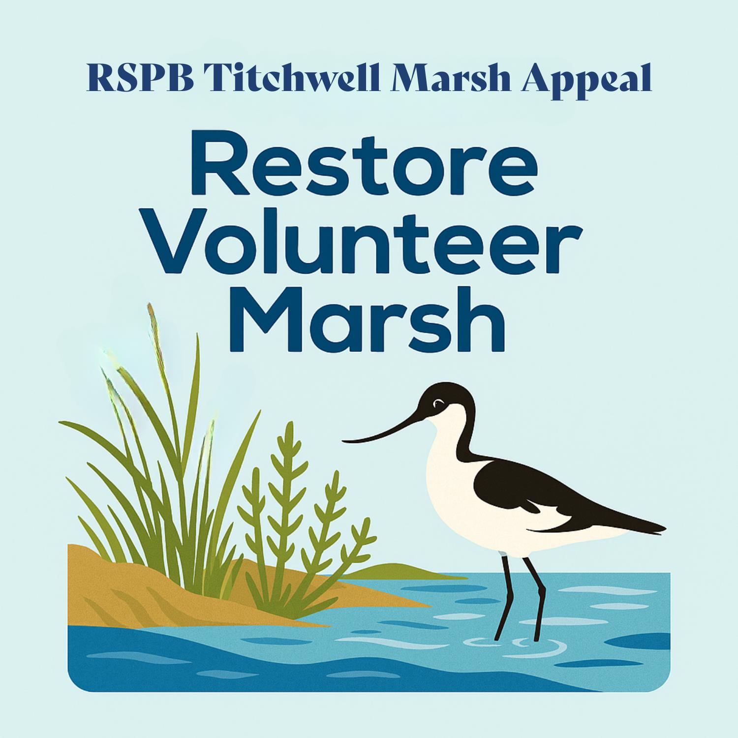 Restore RSPB Titchwell's Volunteer Marsh - JustGiving
