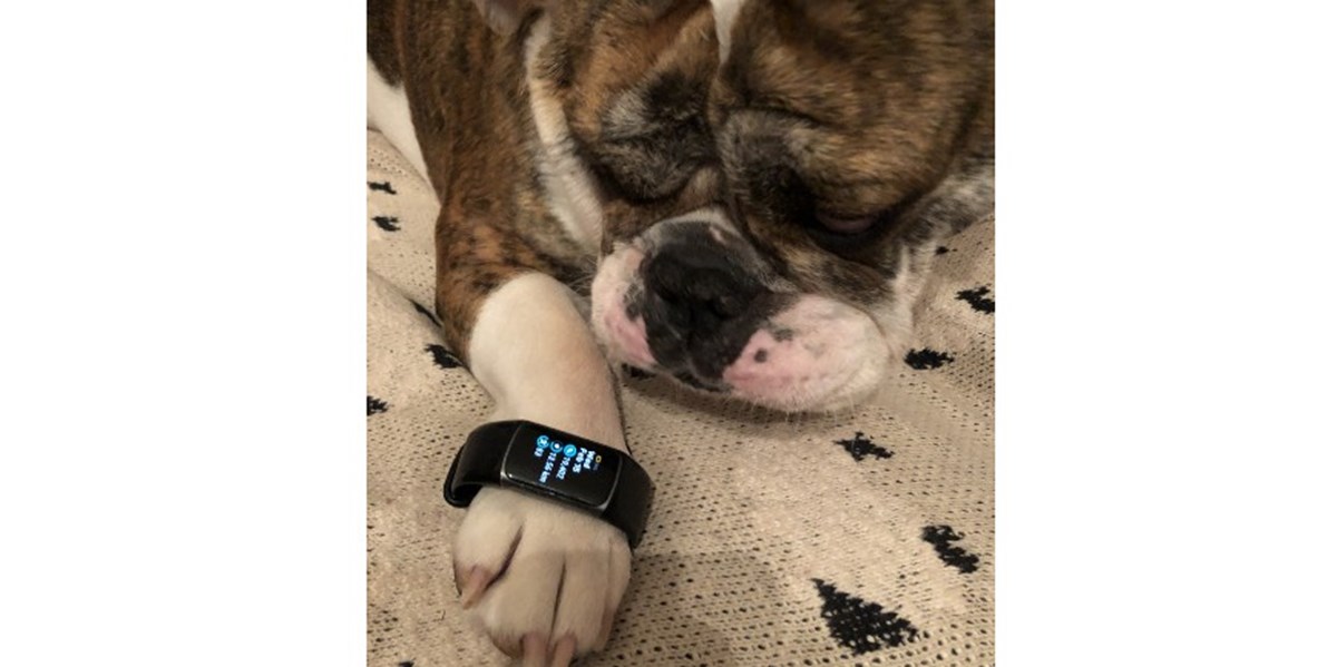 Gareth Rowlands is fundraising for The Rescue Hotel