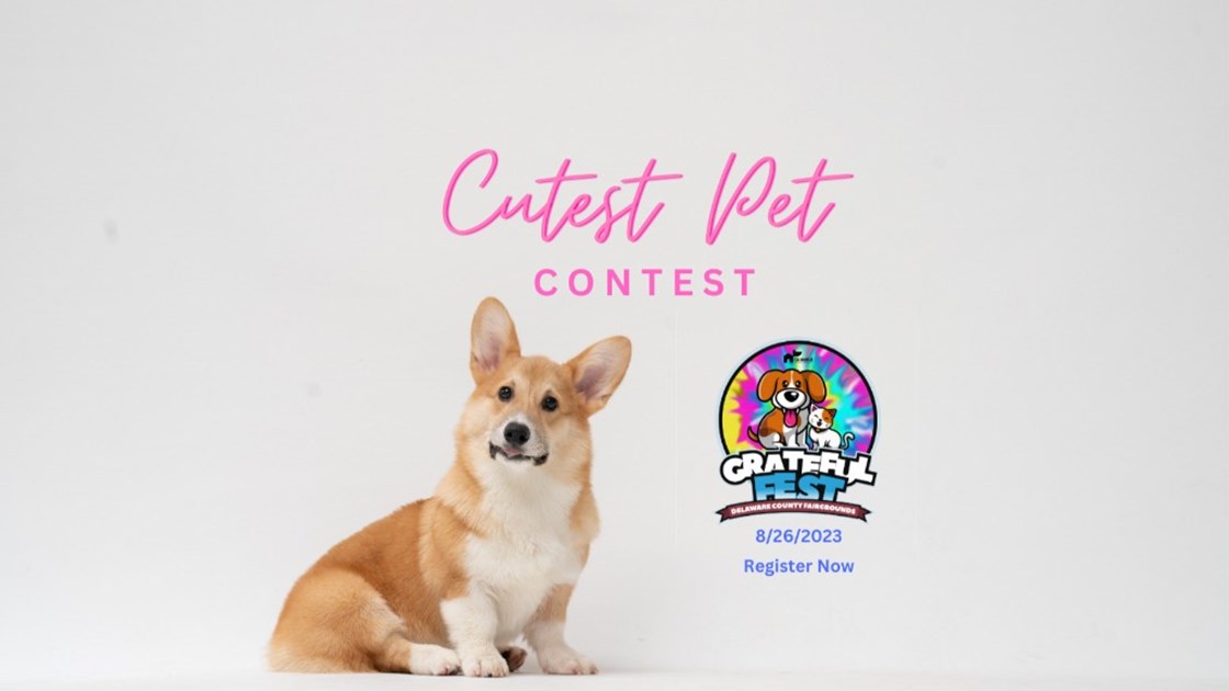 Grateful Fests' Cutest Pet Photo Contest 2023 - JustGiving