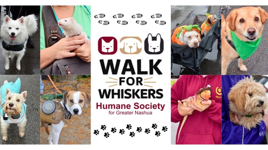 HSFN Board/Pawsitive Support Squad is fundraising for Humane Society ...