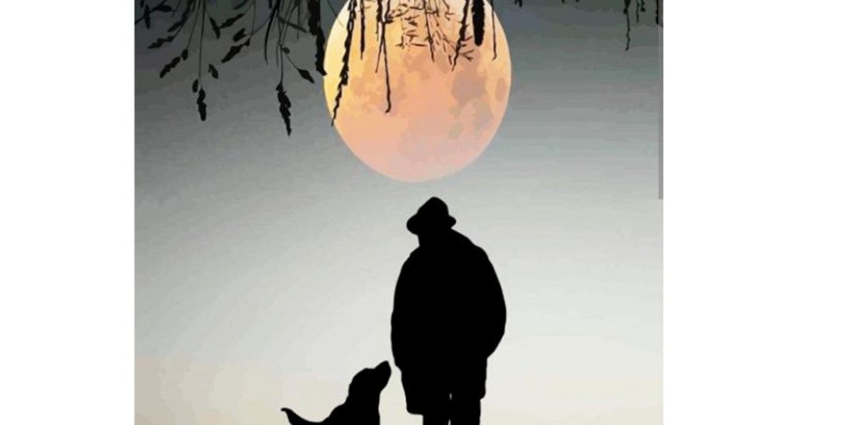 Clare Watters is fundraising for Guide Dogs