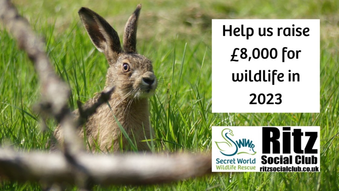 Cheryl Hamlin is fundraising for Secret World Wildlife Rescue