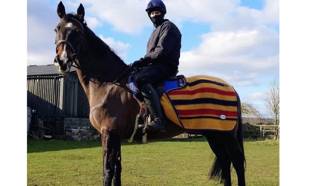 Steven Coyle is fundraising for The British Horse Society