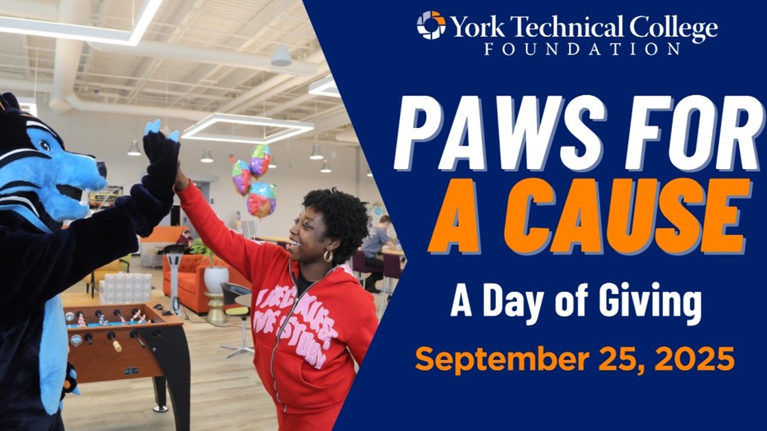 2025 Paws for a Cause Campaign - JustGiving