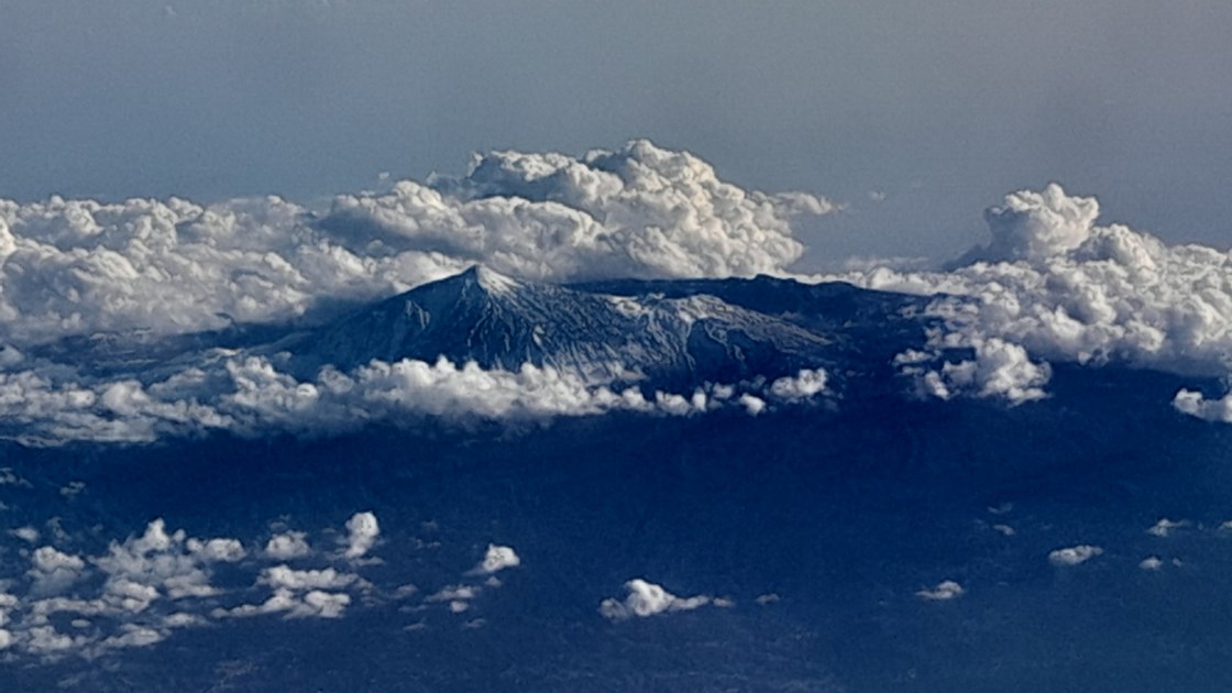 Julia Chambers is fundraising for Marie Curie