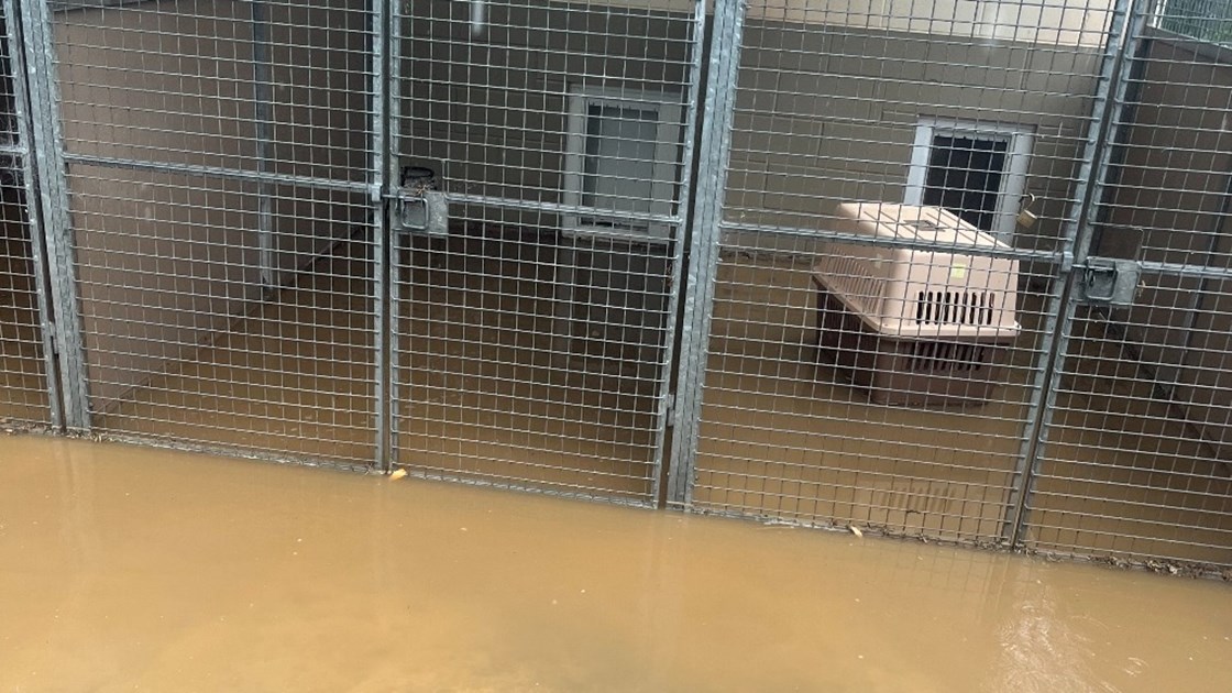 Urgent Help Needed – Flooding at Oak Tree Animals’ Charity - JustGiving