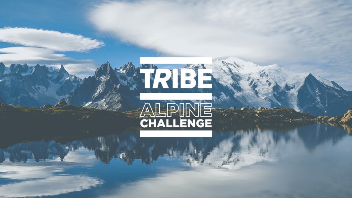 Dietrich Stadlmann is fundraising for TRIBE Freedom Foundation