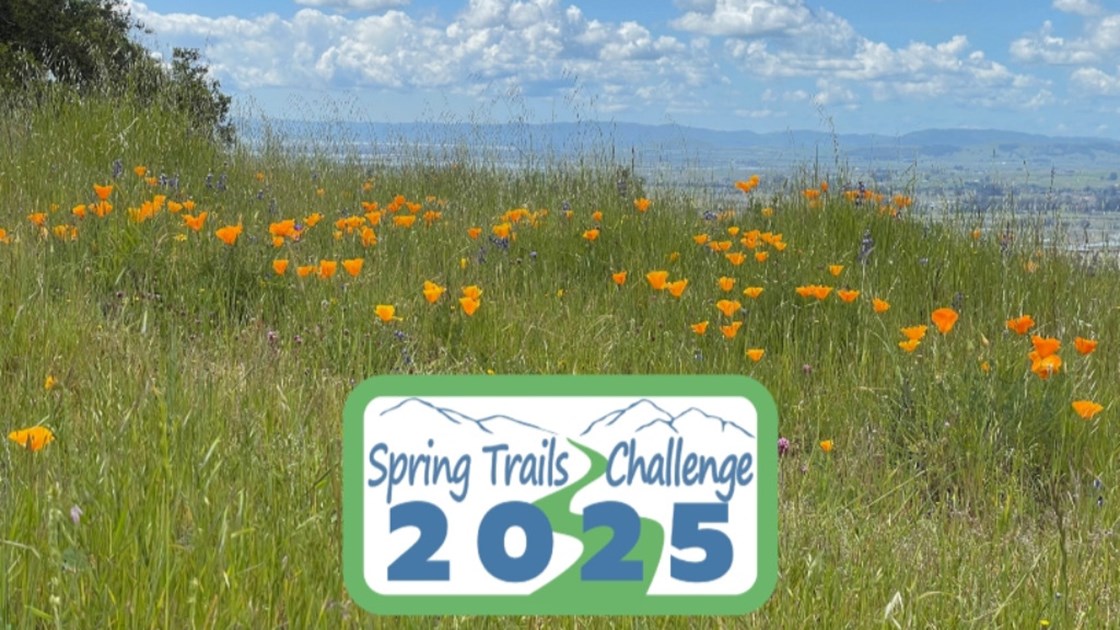 2025 Spring Trails Challenge - JustGiving