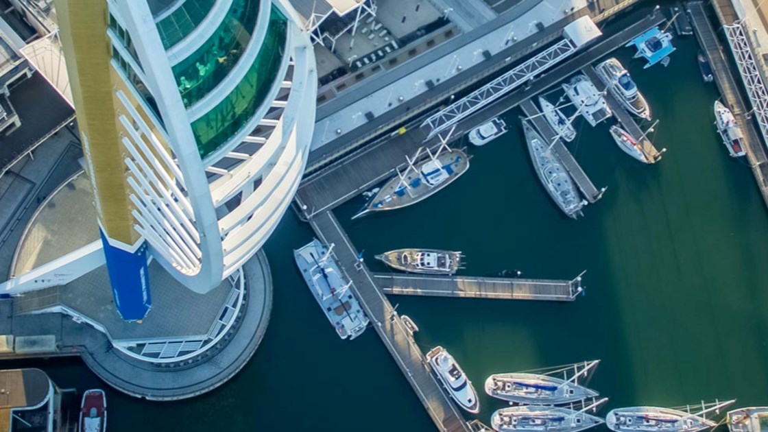 Joe Gower is fundraising for International Animal Rescue