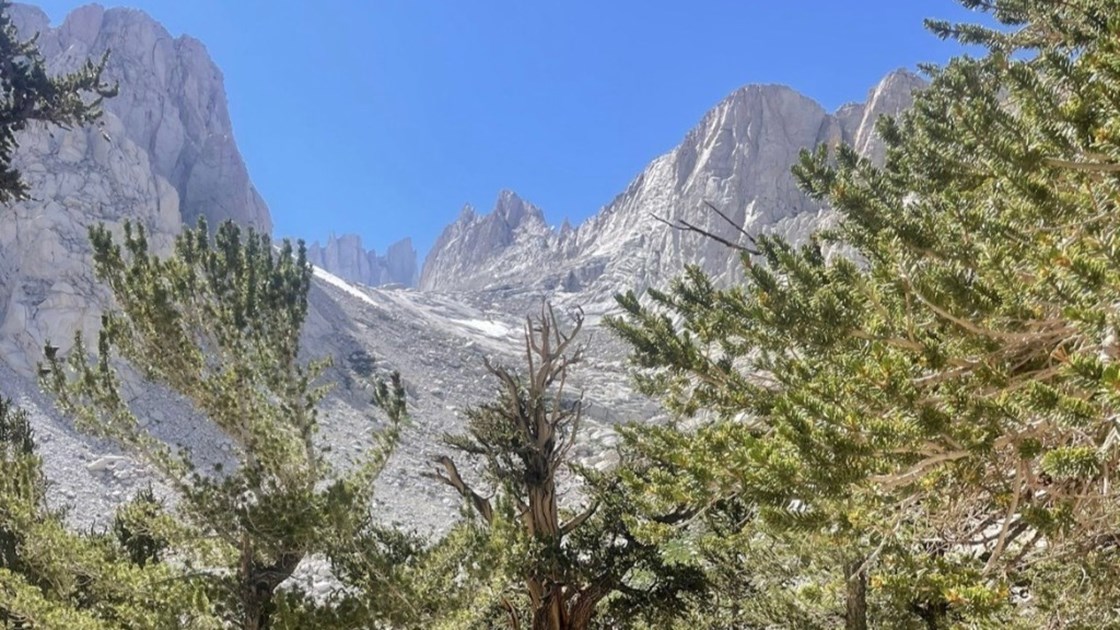 Mary Takes A Hike - JustGiving