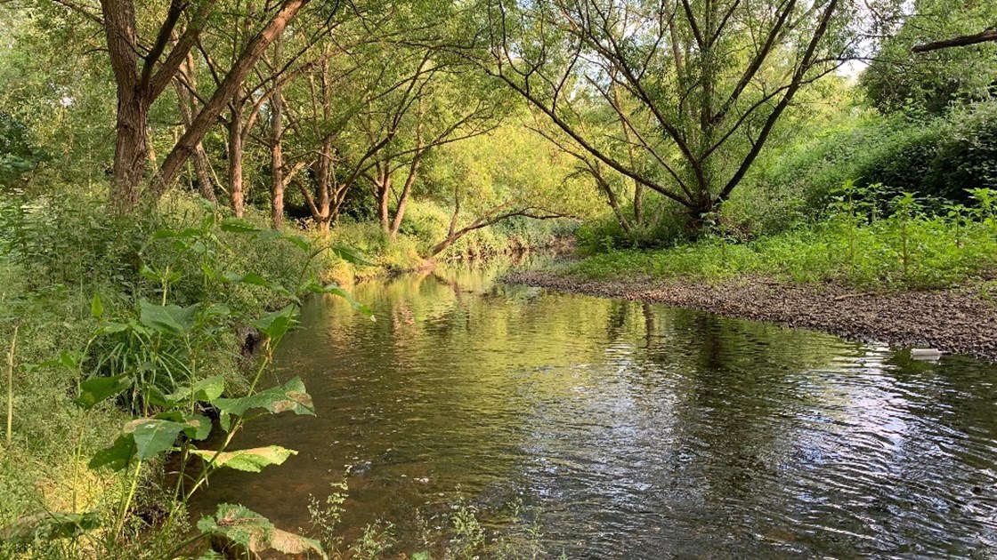 Brent River Catchment - Walk for Water Quality - JustGiving