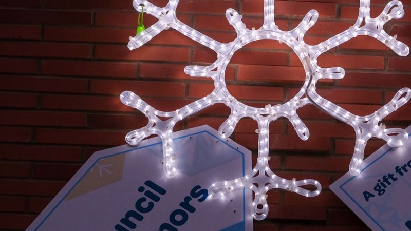 The Council of Governors' Sheffield Children's Hospital Snowflake and ...