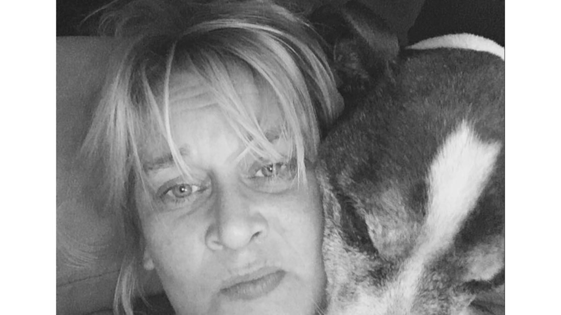 Colin Anscomb is fundraising for THE FOX PROJECT / SOUTHERN WILDLIFE ...