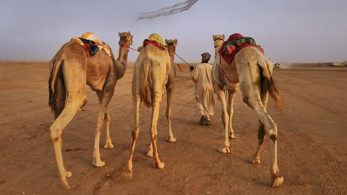 RAFA Ride MODSAP Team KSA is fundraising for The RAF Association (RAFA)