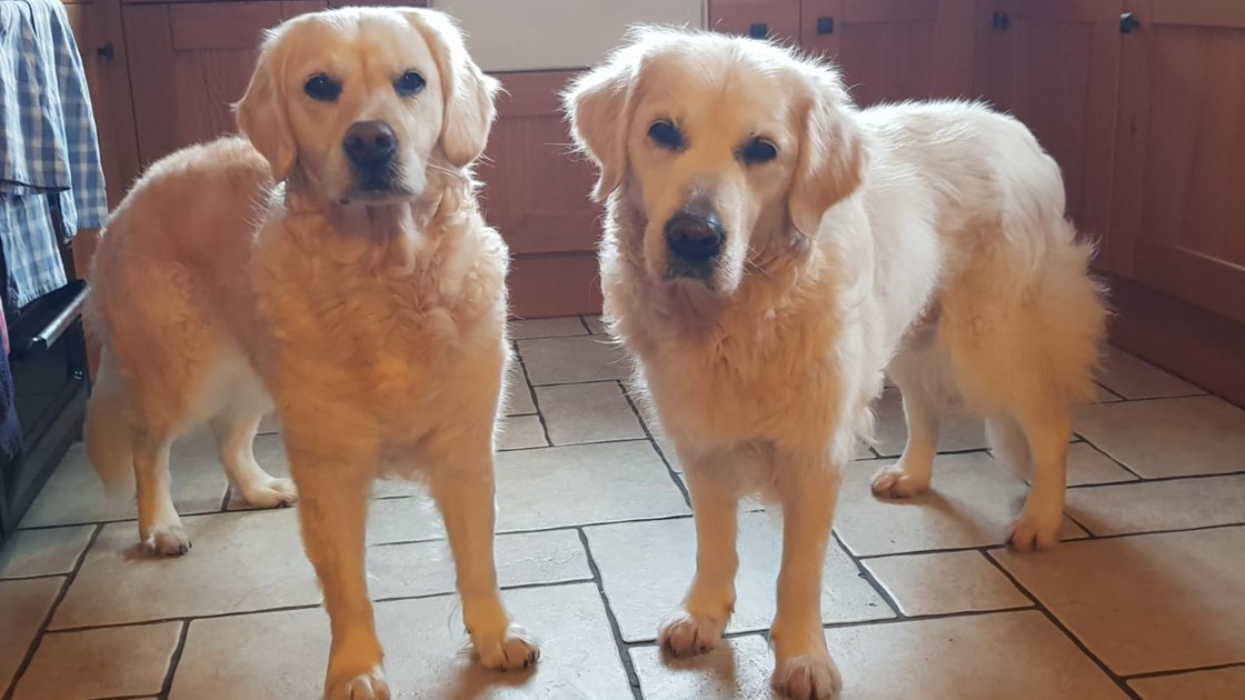 Amanda Durrant is fundraising for Maggie's Centres