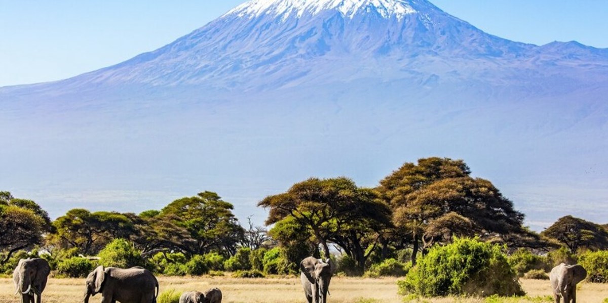 Carl wain is fundraising for Birmingham Children’s Hospital Charity