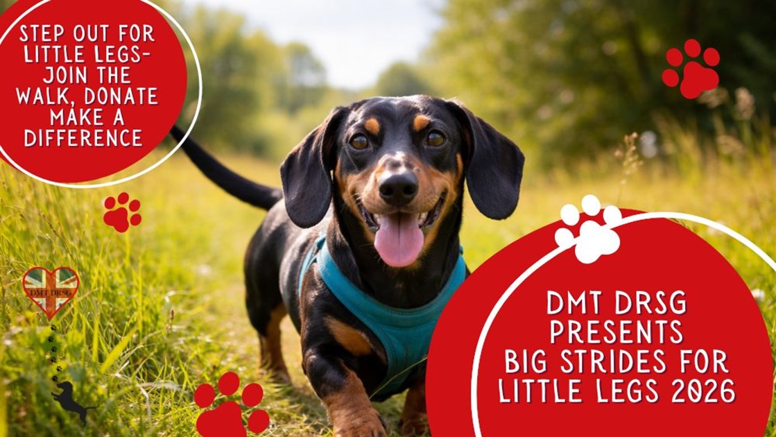 Big Strides for Little Legs 2026 - JustGiving