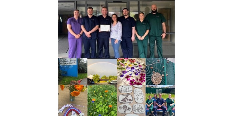 St Caradog ward fundraising is fundraising for Hywel Dda Health Charities