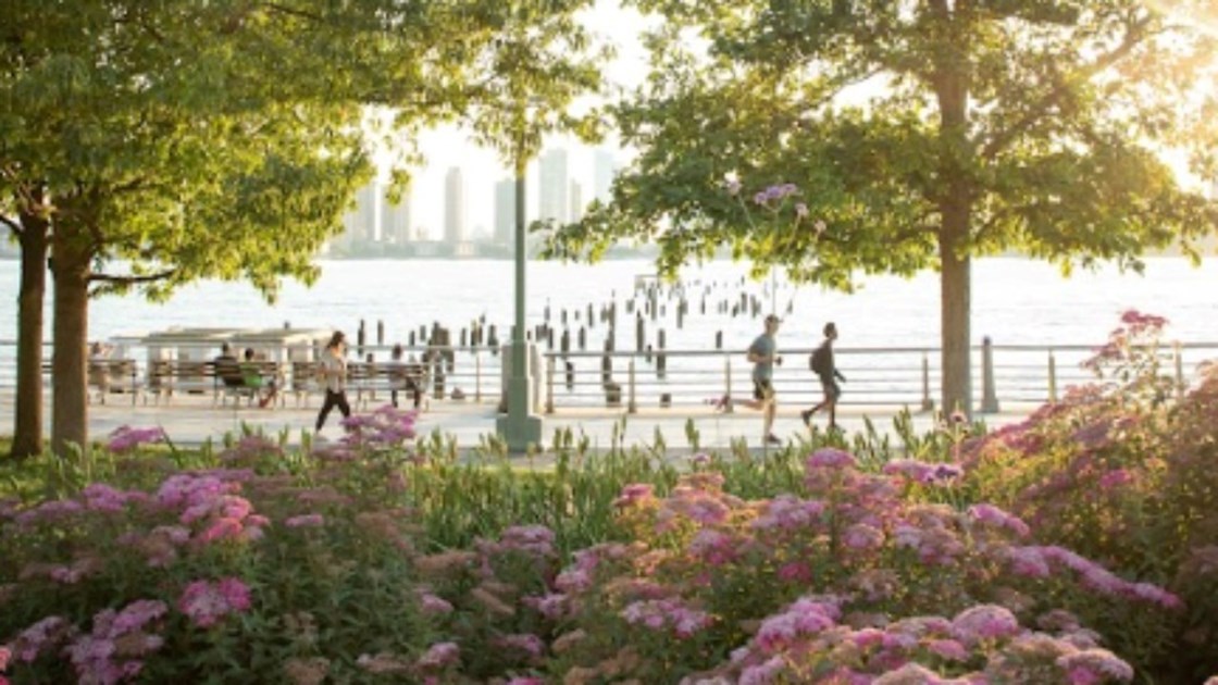 Amanda Marston is fundraising for Friends Of Hudson River Park Inc