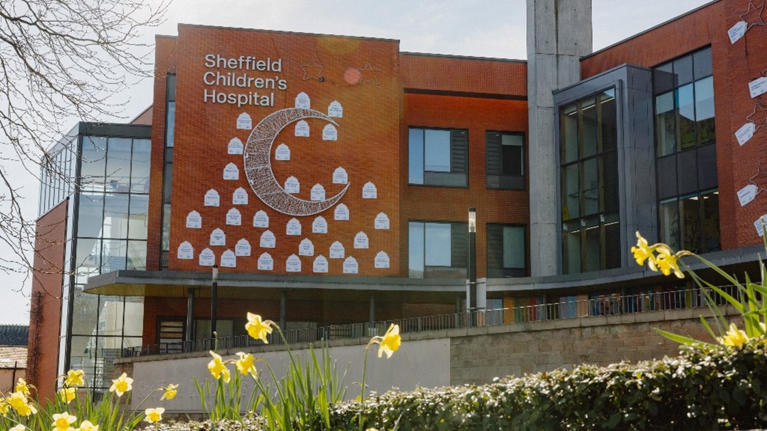 Moon and Stars 2026 - JustGiving