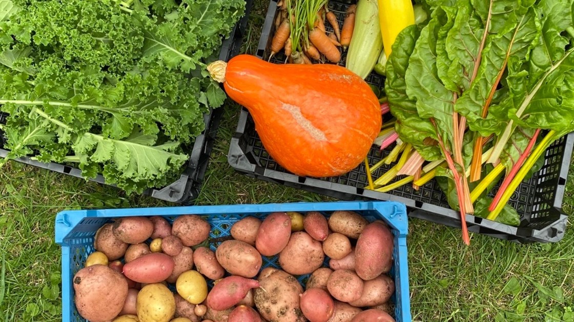 Fridge Fund - JustGiving