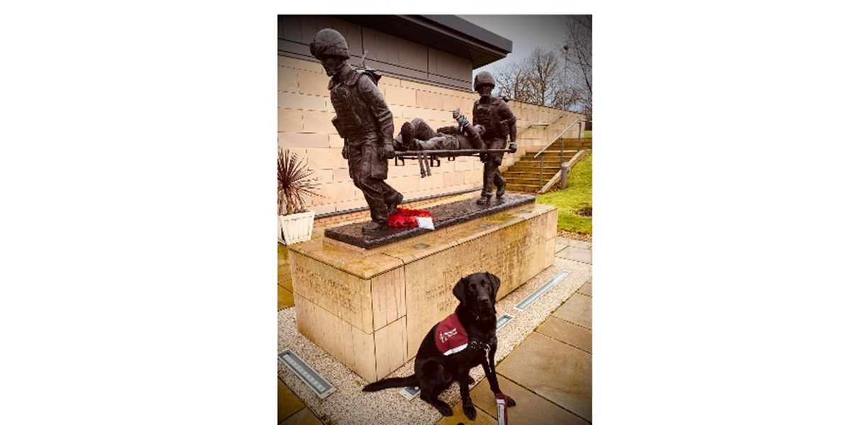 Roy Stewart is fundraising for Hearing Dogs For Deaf People