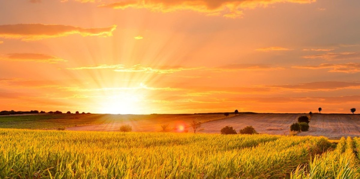 Andrea Foster is fundraising for FOSS (Friends of Slaley First School)