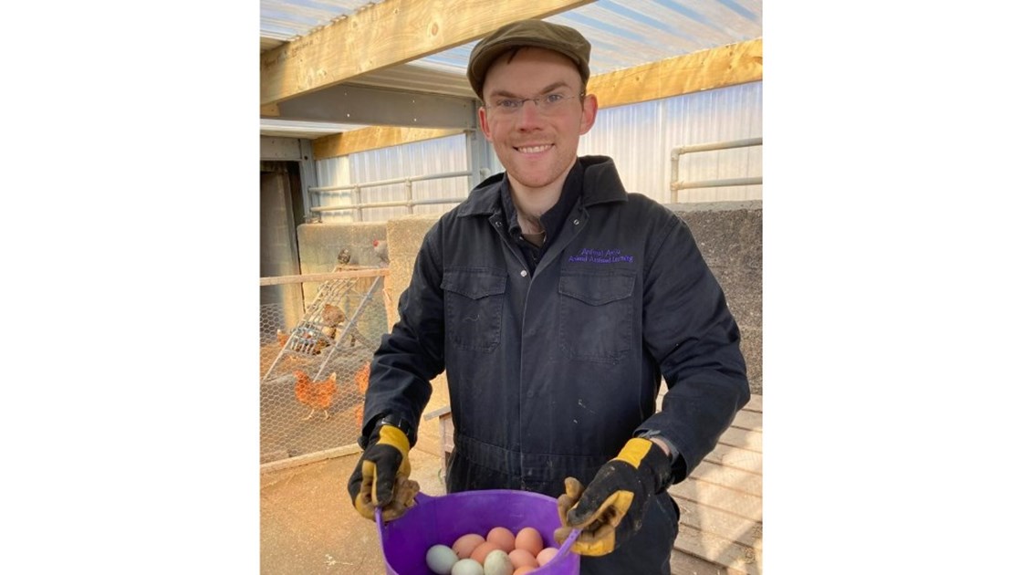 Animal Antiks Fundraiser by the Calvert EKFB Team! - JustGiving