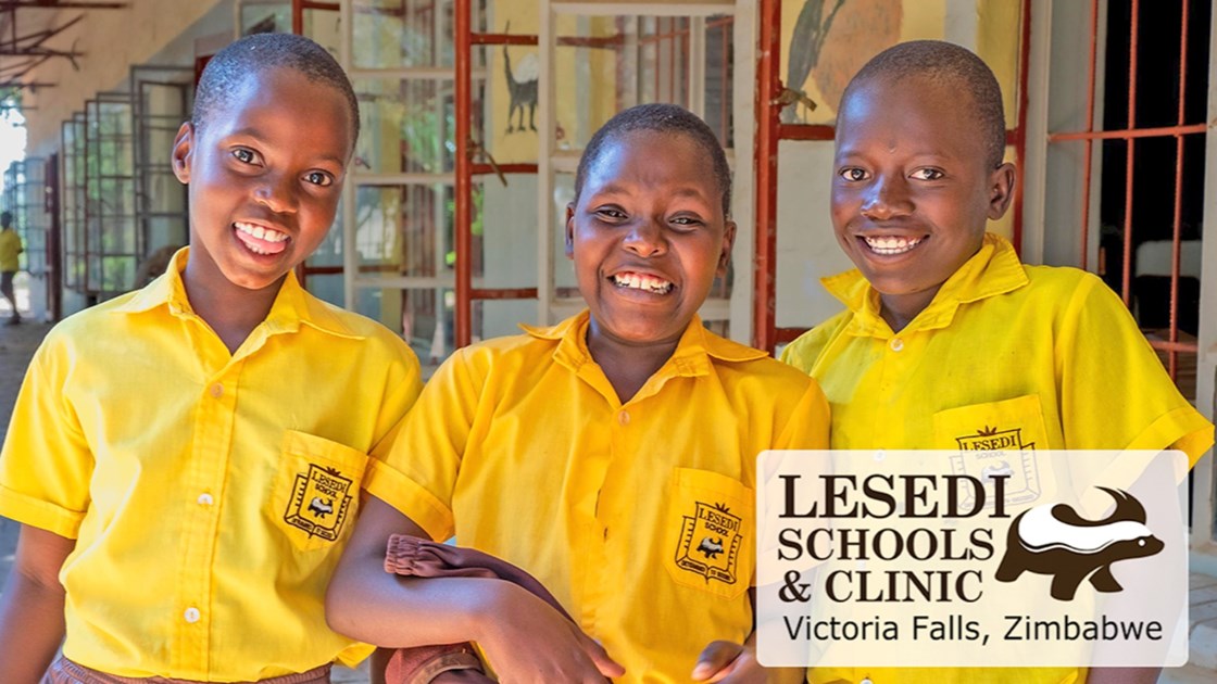 Lesedi Schools and Clinic - JustGiving