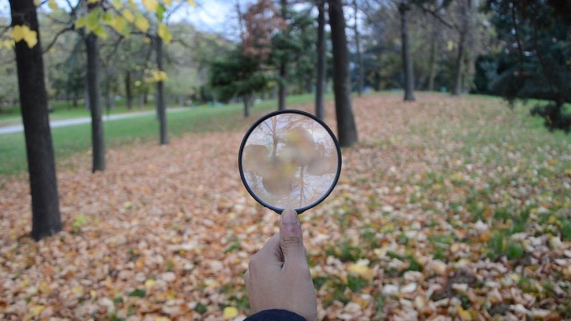 Earthwatchers: Tree Tracking - JustGiving