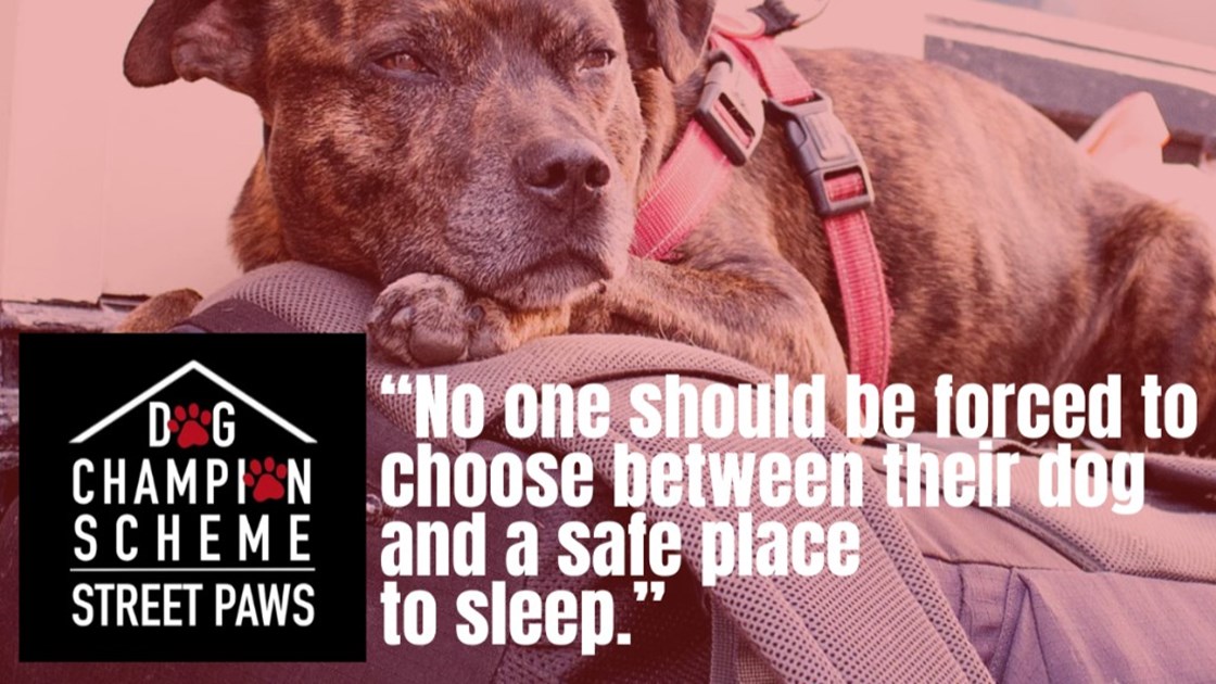 Help us grow the Street Paws Dog Champion Scheme; keep homeless people ...