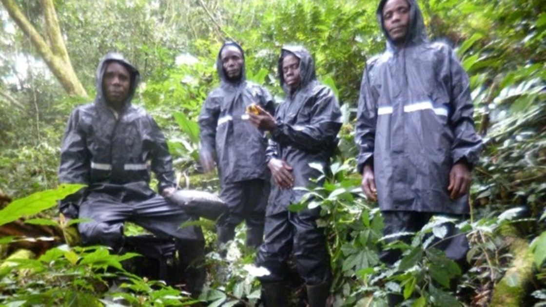 Celebrating Courage on World Ranger Day - JustGiving