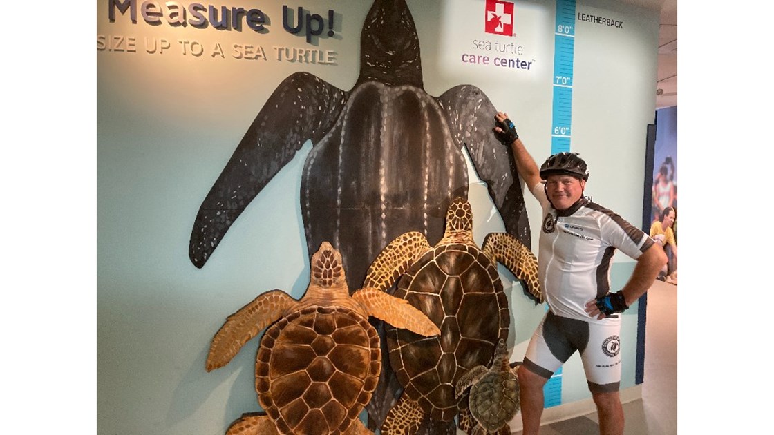 The Turtle Won the Race! - JustGiving