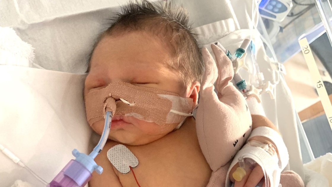 The Brompton Fountain - JustGiving