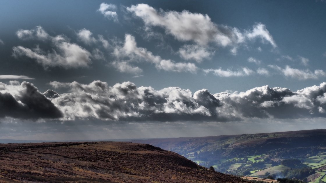 Esmé B is fundraising for Macmillan Cancer Support