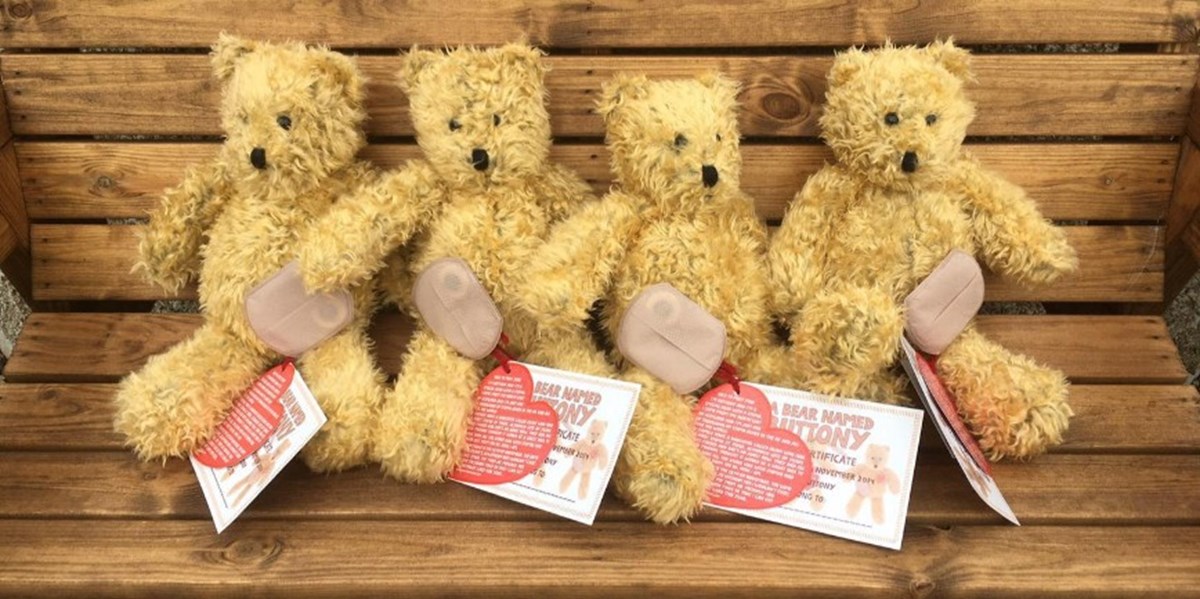 HEATHER MARSHALL is fundraising for A Bear Named Buttony