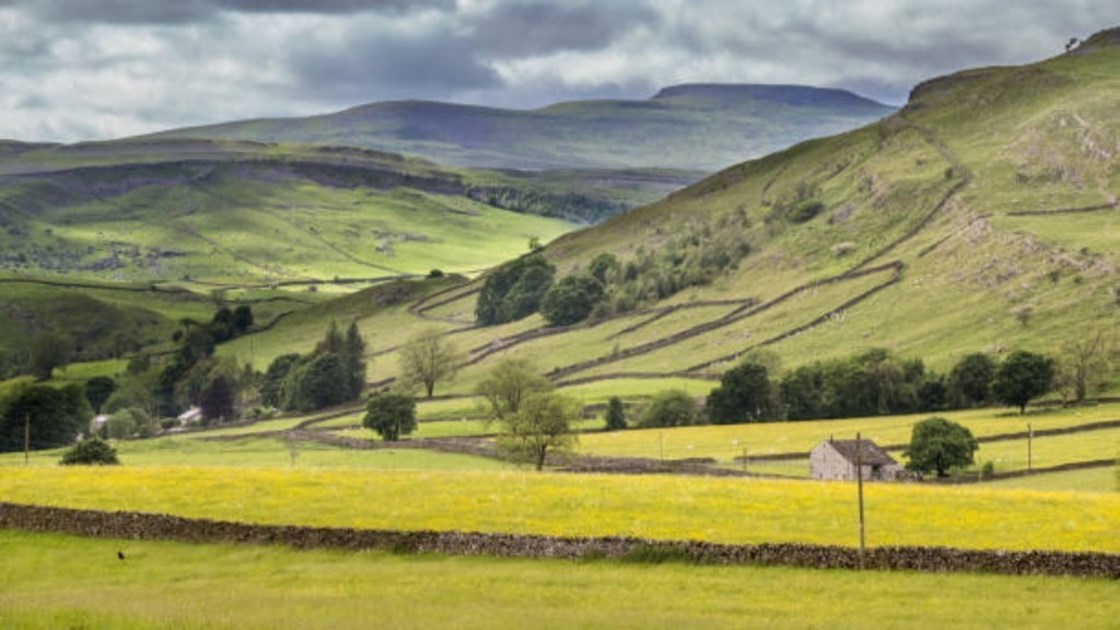 neil bussey is fundraising for British Heart Foundation