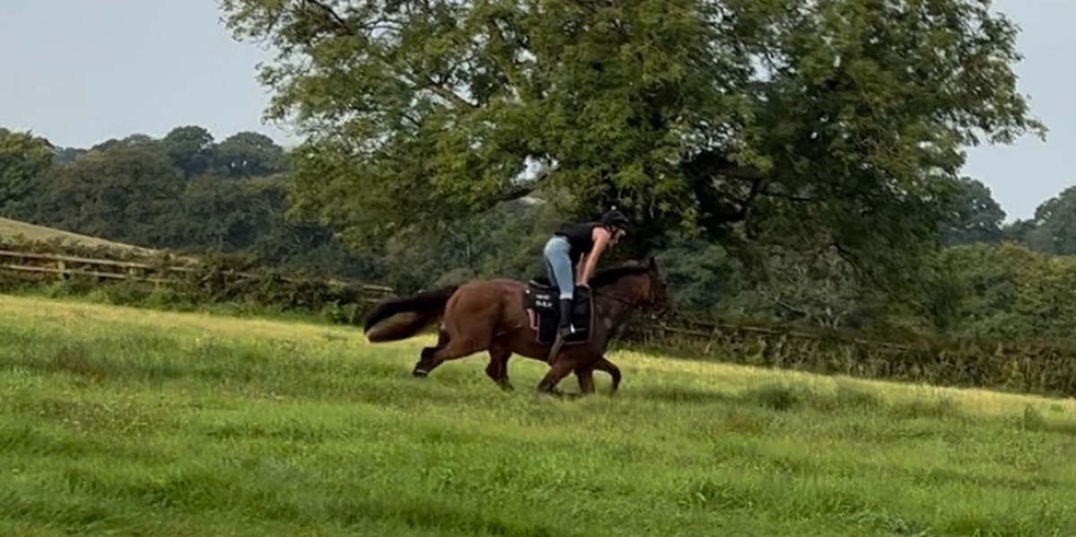 Neve Daniel is fundraising for Bob Champion Cancer Trust