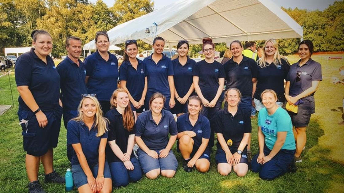 RSPCA Ashley Heath Animal Centre - JustGiving